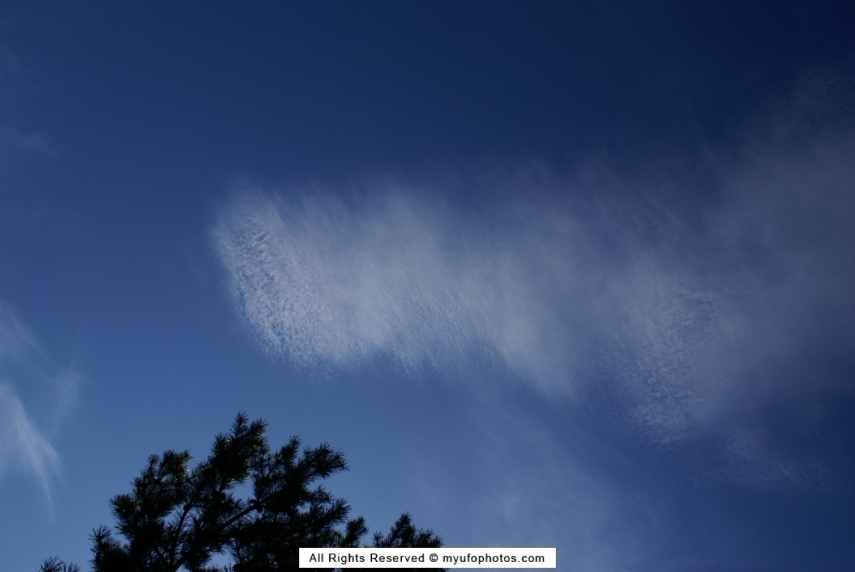 Cirrocumulus clouds in a spectacular display ~ Meteorology Cirrocumulus clouds in a spectacular display ~ Meteorology