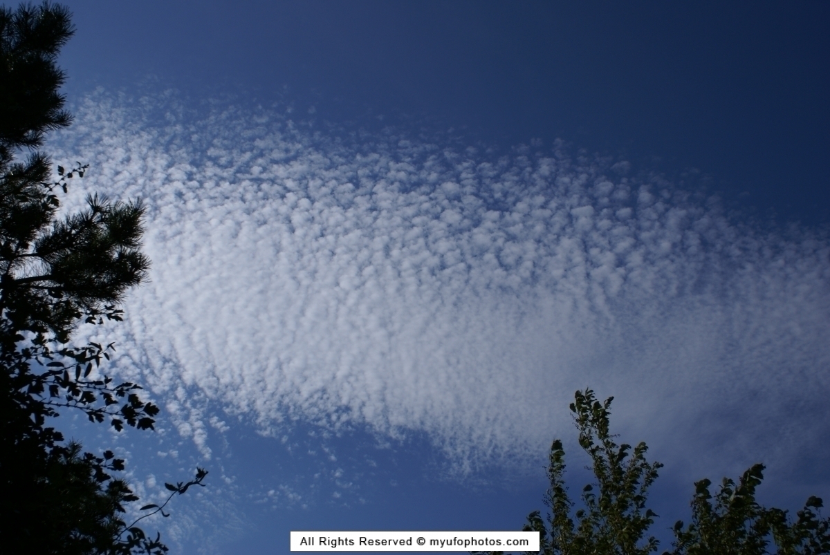Cirrocumulus clouds in a spectacular display ~ Meteorology Cirrocumulus clouds in a spectacular display ~ Meteorology
